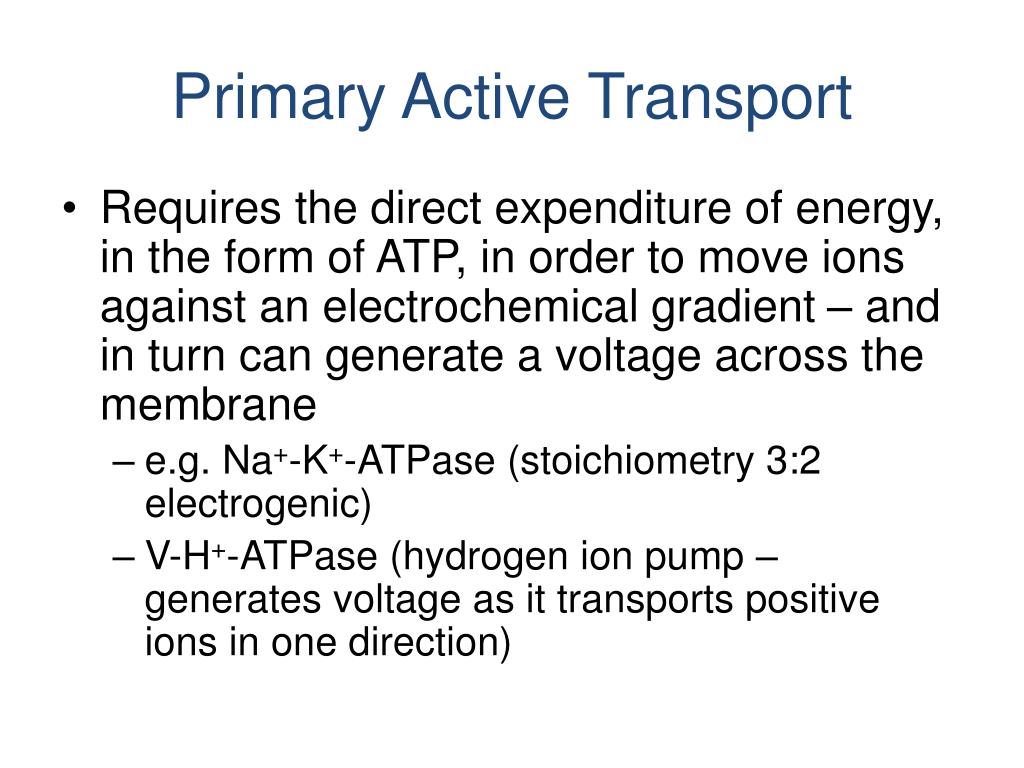 PPT - Primary Active Transport PowerPoint Presentation, free download ...