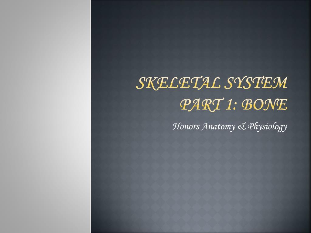 PPT - Skeletal system part 1: bone PowerPoint Presentation, free ...