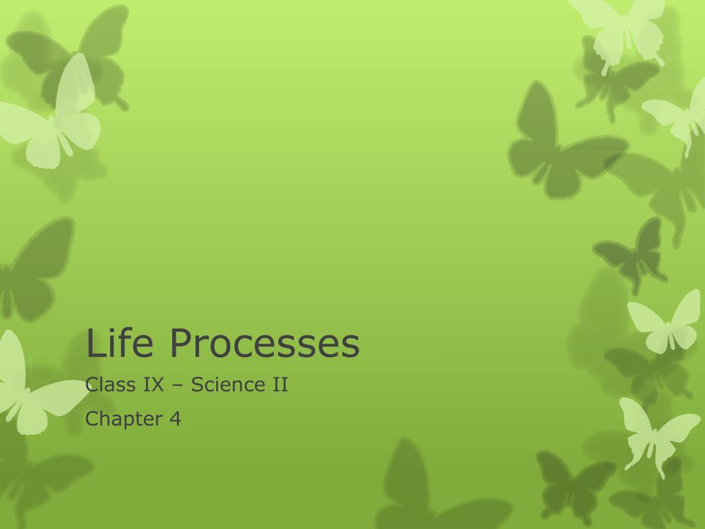 PPT - Life Processes PowerPoint Presentation, free download - ID:2202502