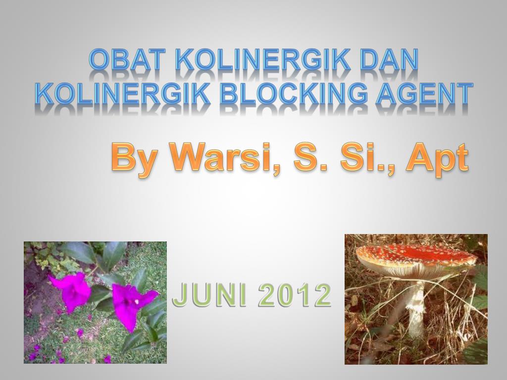PPT - OBAT KOLINERGIK dan KOlinergiK blocking agent PowerPoint ...