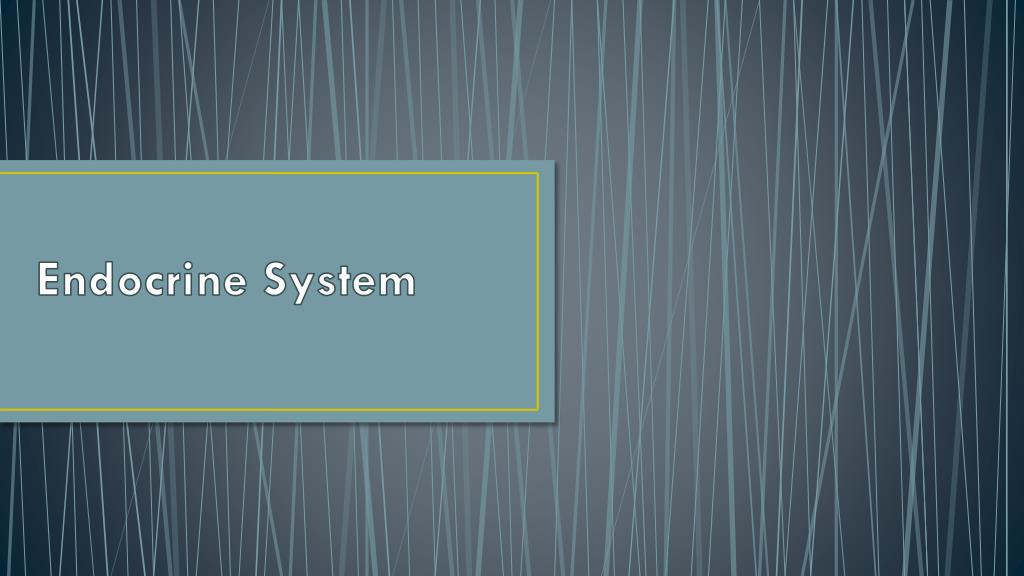 PPT - Endocrine System PowerPoint Presentation, free download - ID:2204320