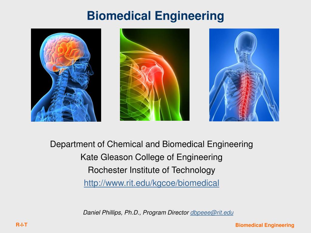 PPT - Biomedical Engineering PowerPoint Presentation, free download ...