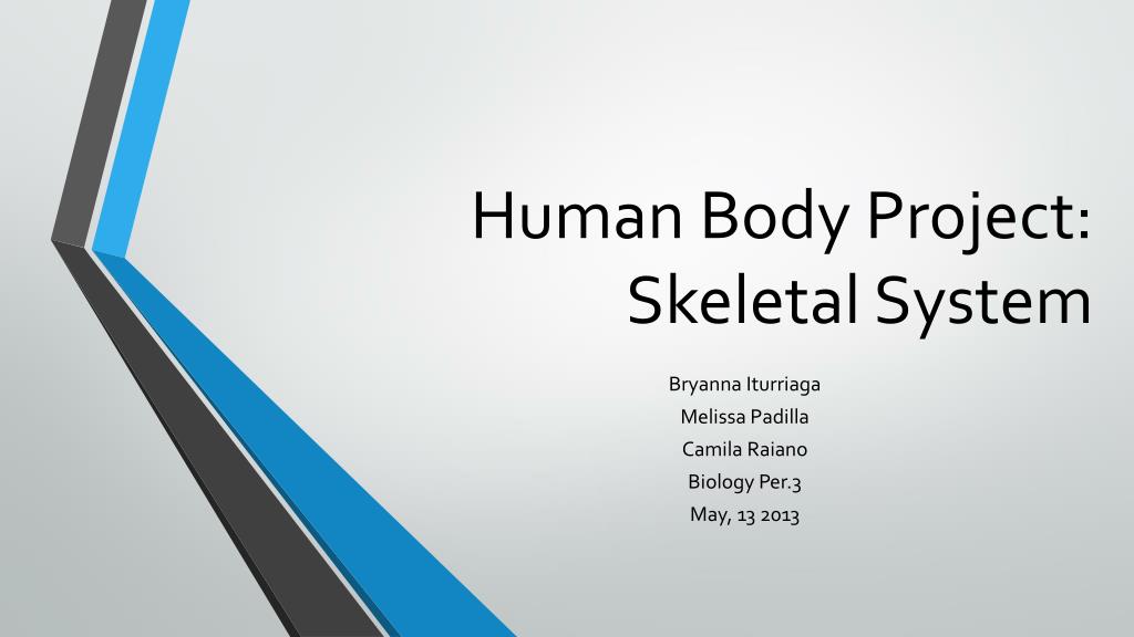 PPT - Human Body Project: Skeletal System PowerPoint Presentation, free ...
