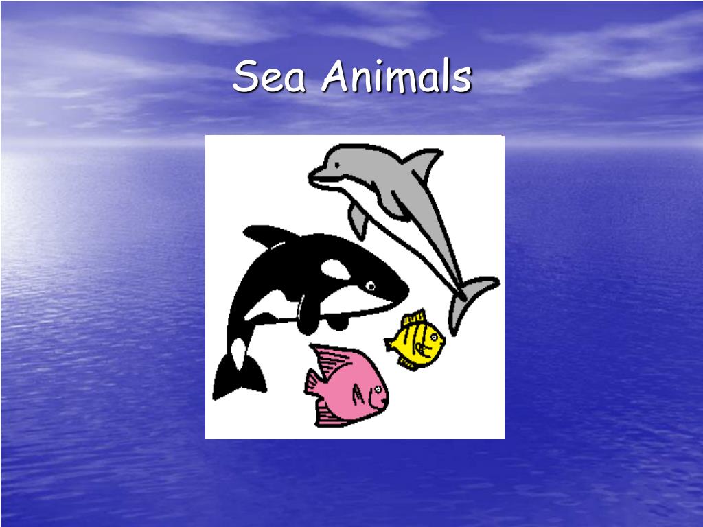 PPT - Sea Animals PowerPoint Presentation, free download - ID:2206402