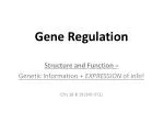 PPT - Gene regulation by riboswitches PowerPoint Presentation, free ...