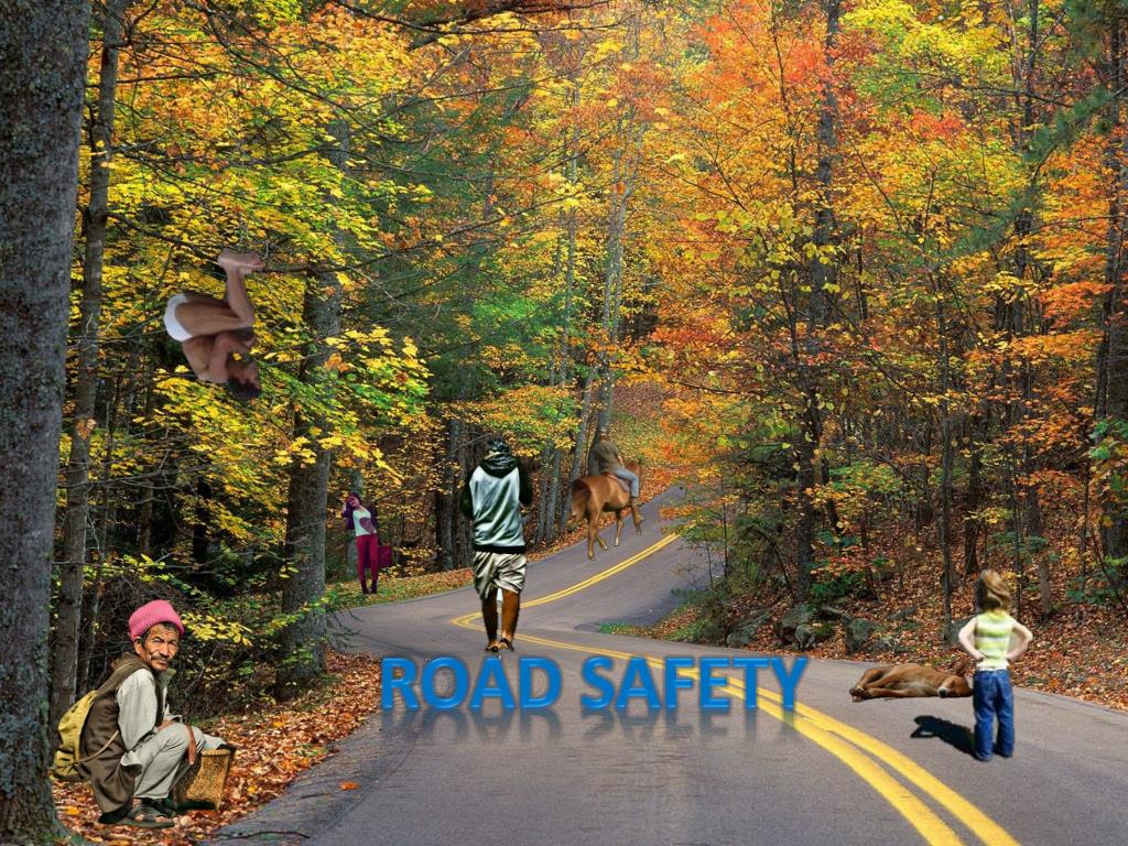 PPT - Road Safety PowerPoint Presentation, free download - ID:2207391