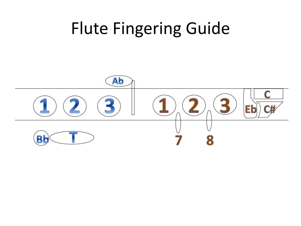 PPT - Flute Fingering Guide PowerPoint Presentation, free download - ID ...