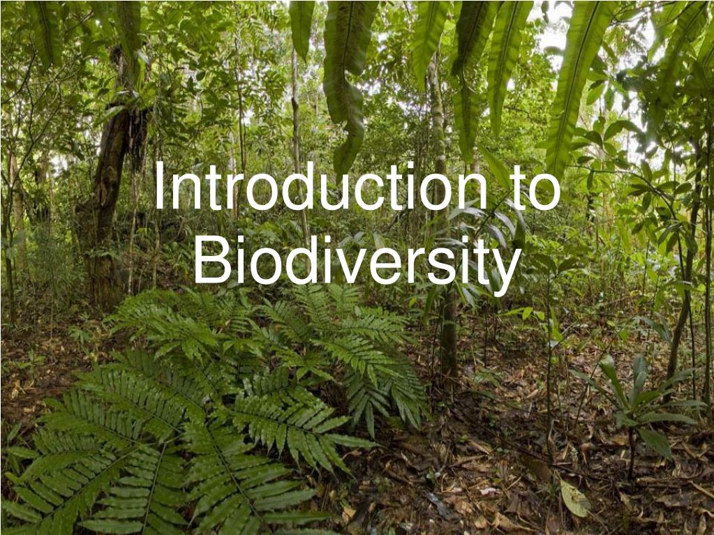 PPT - Introduction to Biodiversity PowerPoint Presentation, free ...
