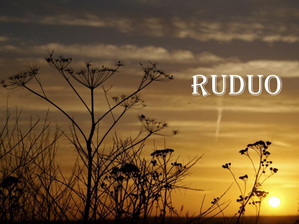 PPT - Ruduo PowerPoint Presentation, free download - ID:2209645