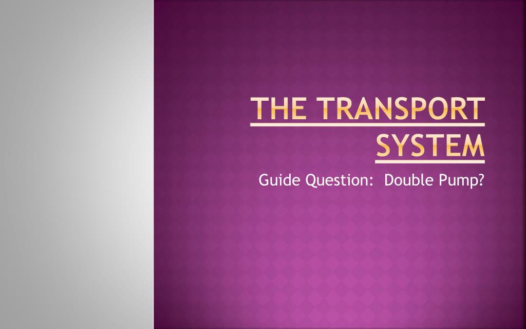 PPT - The Transport System PowerPoint Presentation, free download - ID ...