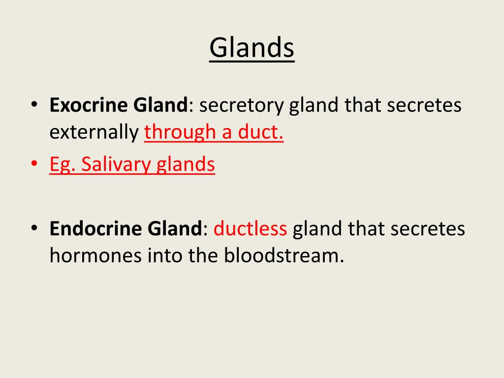 PPT - Glands PowerPoint Presentation, free download - ID:2210884