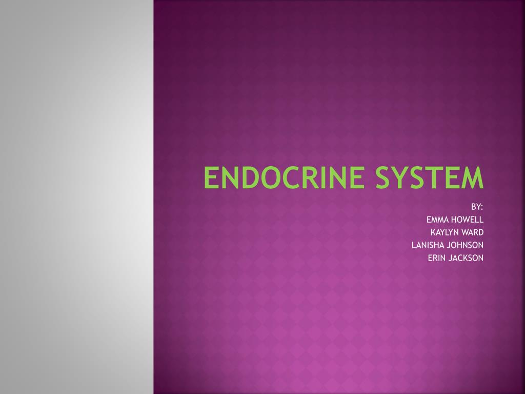 PPT - Understanding the Endocrine System: Functions and Importance ...