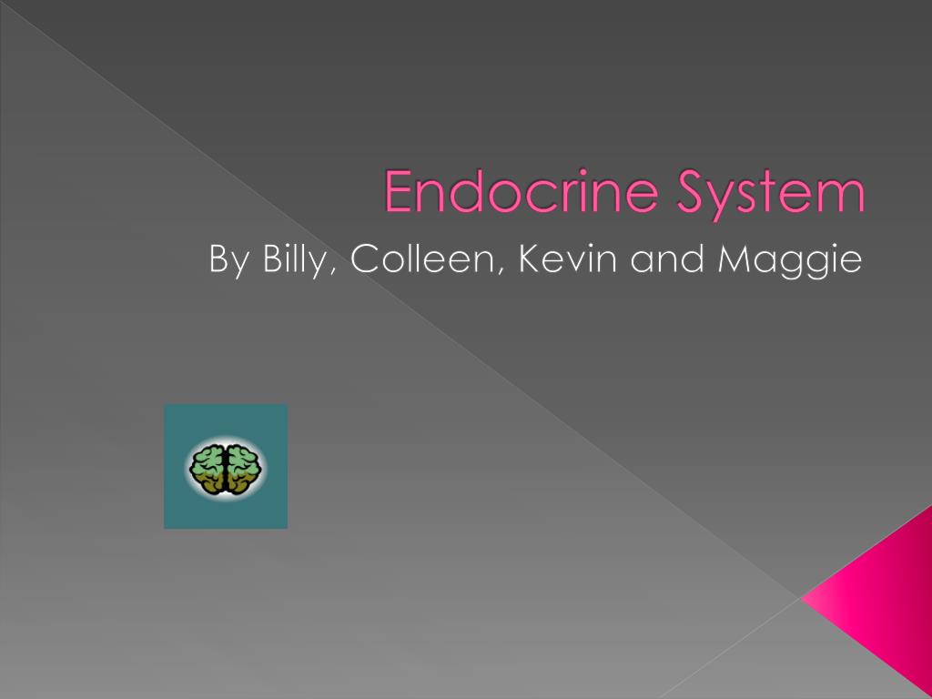 PPT - Endocrine System PowerPoint Presentation, free download - ID:2211198