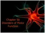 PPT - GMFM: Gross Motor Function Measure, Part I PowerPoint ...