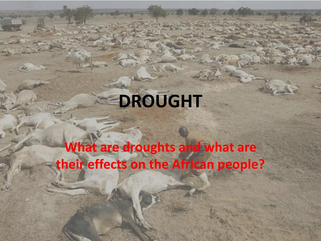 PPT - DROUGHT PowerPoint Presentation, free download - ID:2212002