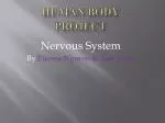 PPT - Human Body System Project PowerPoint Presentation, free download ...