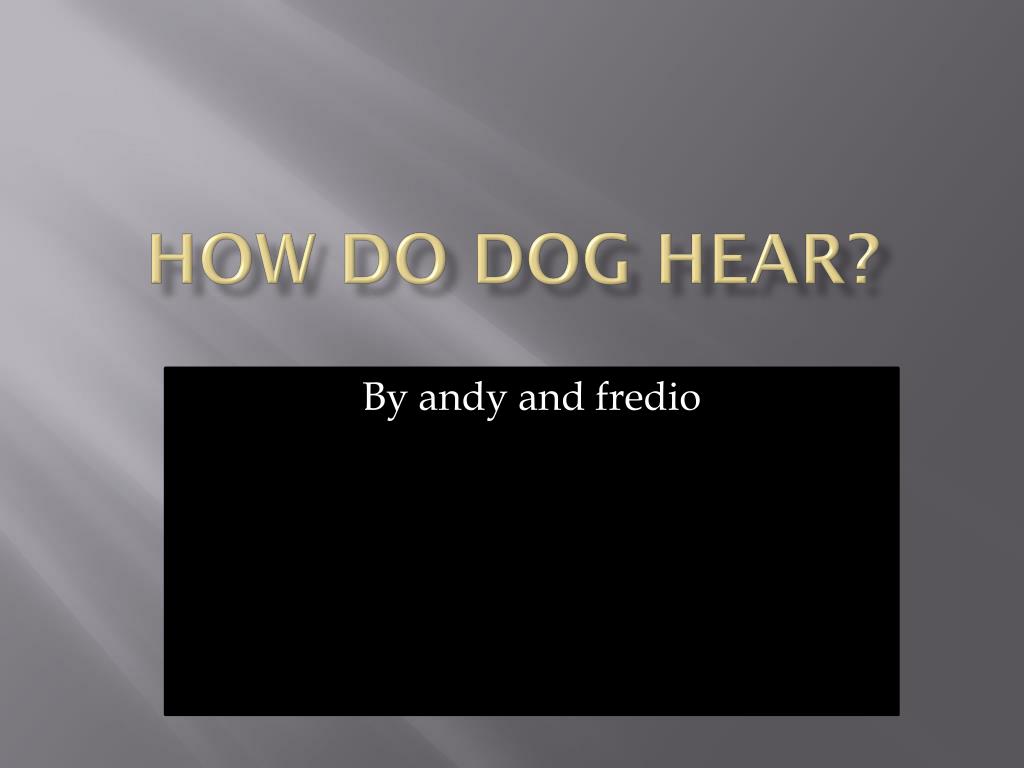 PPT - How do dog hear? PowerPoint Presentation, free download - ID:2212307