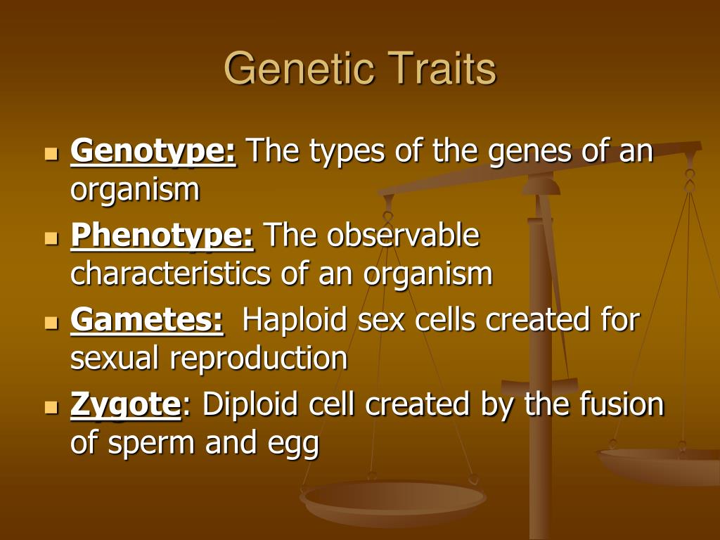 PPT - Genetic Traits PowerPoint Presentation, free download - ID:2212642