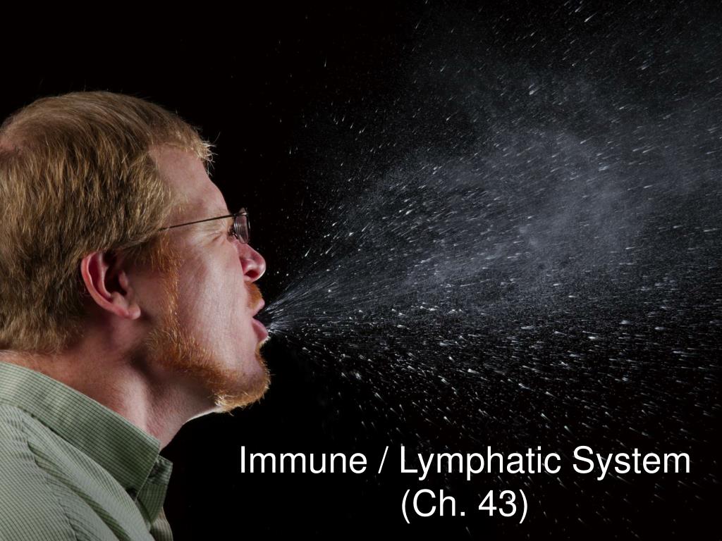 PPT - Immune / Lymphatic System (Ch. 43) PowerPoint Presentation, free ...