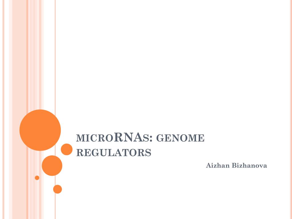 PPT - microRNAs : genome regulators PowerPoint Presentation, free ...