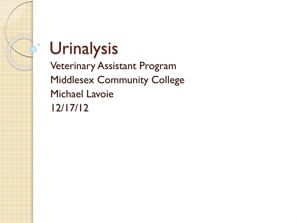 PPT - Urinalysis PowerPoint Presentation, free download - ID:2214675