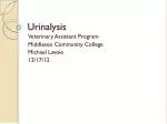 PPT - Clinical Urinalysis Review PowerPoint Presentation, free download ...