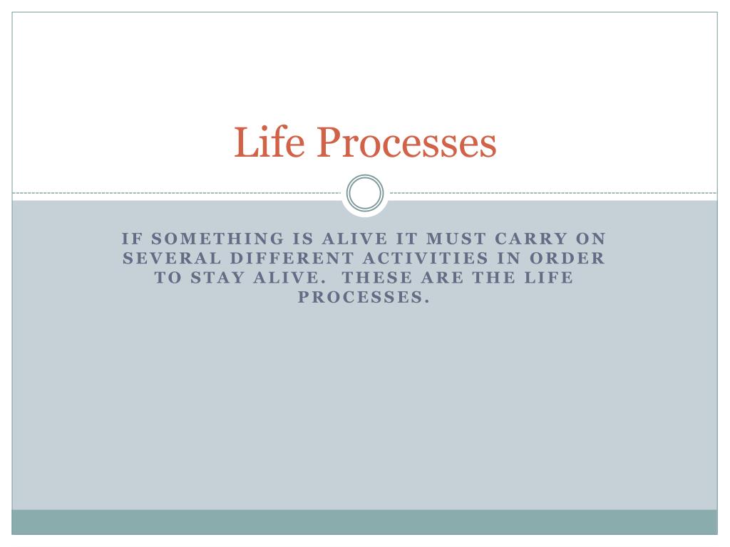 PPT - Life Processes PowerPoint Presentation, free download - ID:2215301