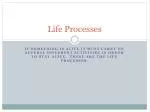 PPT - CHAPTER - 6 LIFE PROCESSES PowerPoint Presentation, free download ...