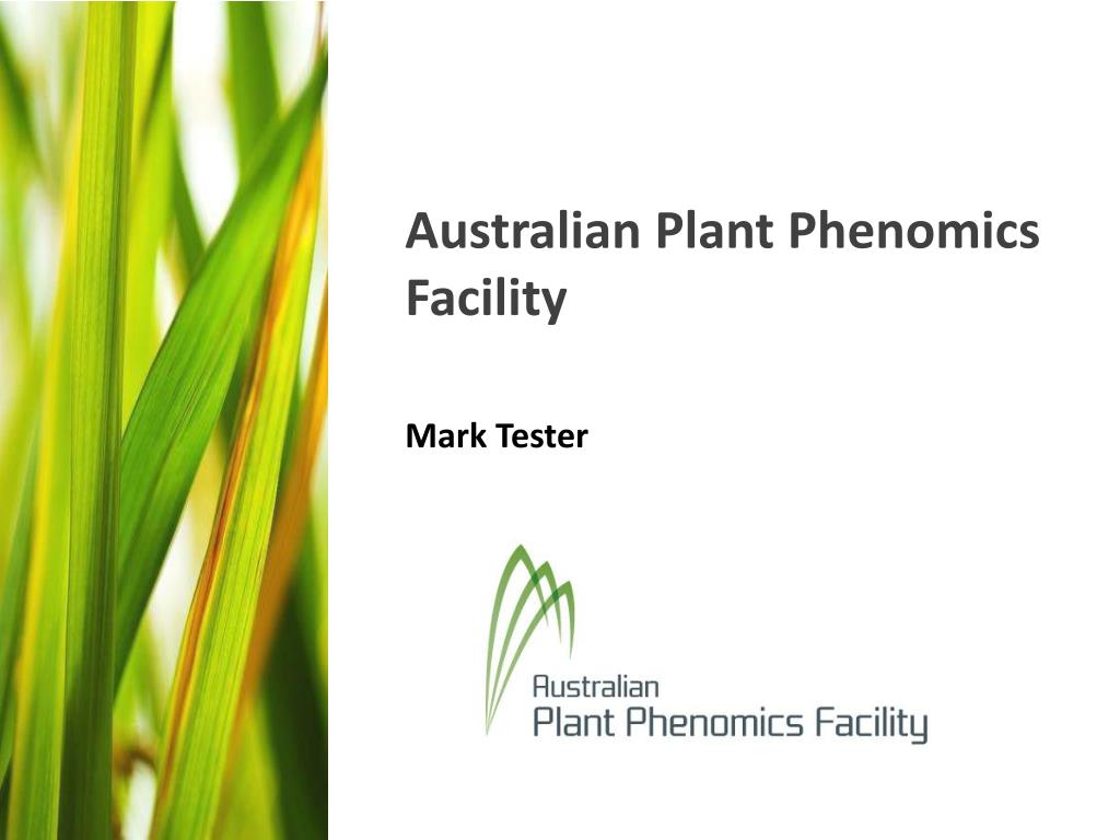 PPT - Australian Plant Phenomics Facility Mark Tester PowerPoint ...