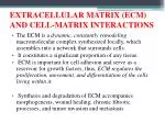 PPT - Cell-Cell Interactions! PowerPoint Presentation, free download - ID:2762421