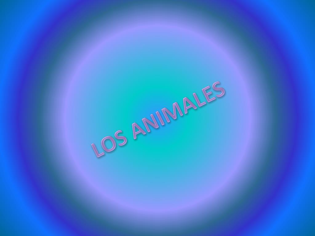 PPT - LOS ANIMALES PowerPoint Presentation, free download - ID:2216539