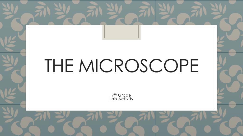 PPT - The Microscope PowerPoint Presentation, free download - ID:2217150