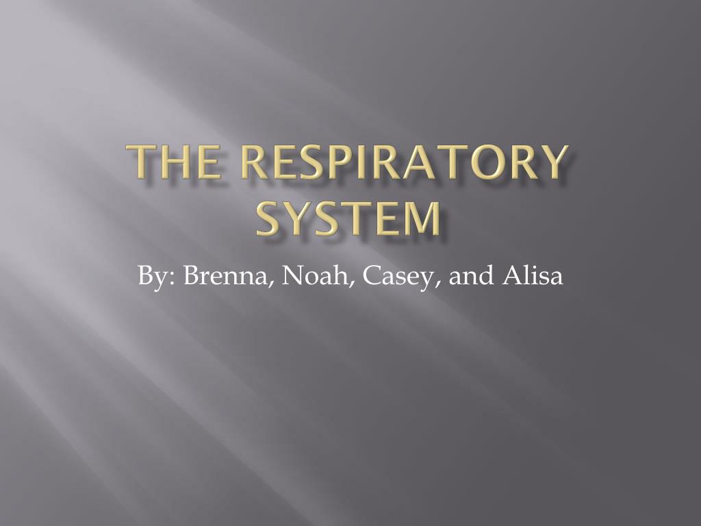PPT - The Respiratory System PowerPoint Presentation, free download ...