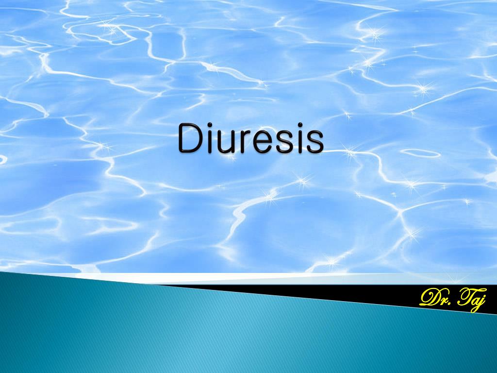 PPT - Diuresis PowerPoint Presentation, free download - ID:2219301