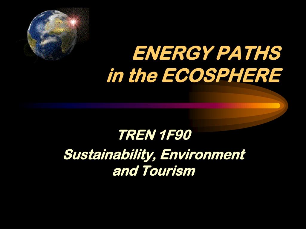 PPT - Understanding Energy Paths in the Ecosphere PowerPoint ...