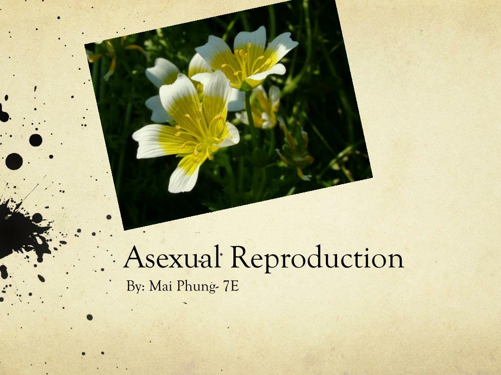 PPT - Asexual Reproduction PowerPoint Presentation, free download - ID ...