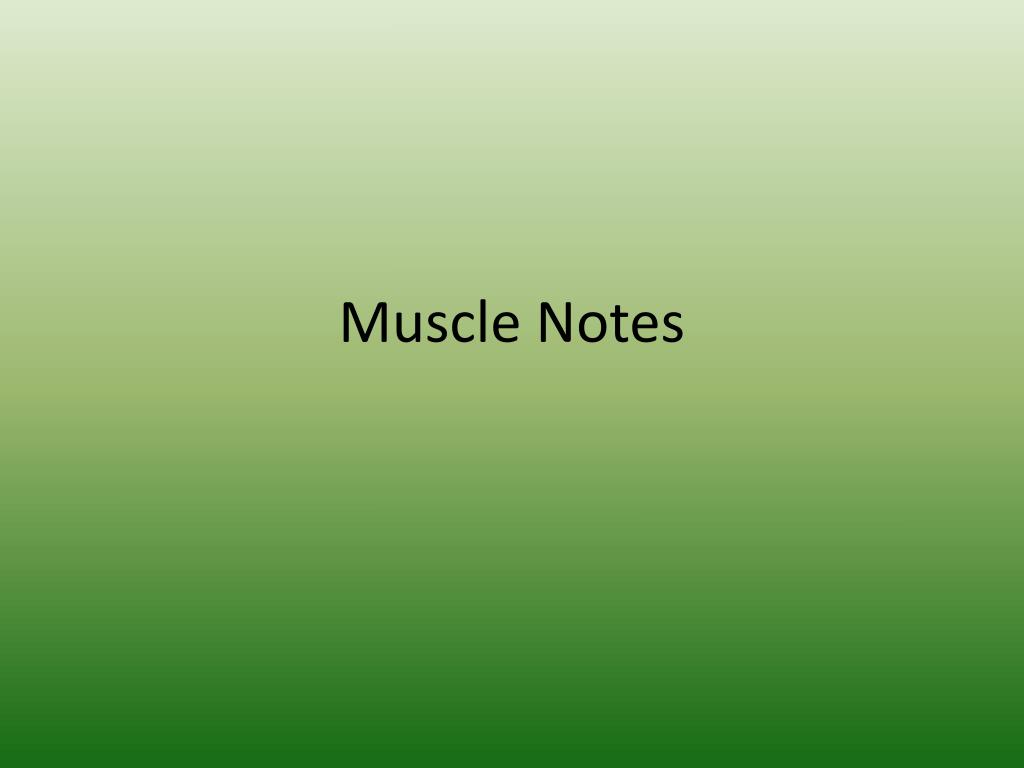 PPT - Muscle Notes PowerPoint Presentation, free download - ID:2223709