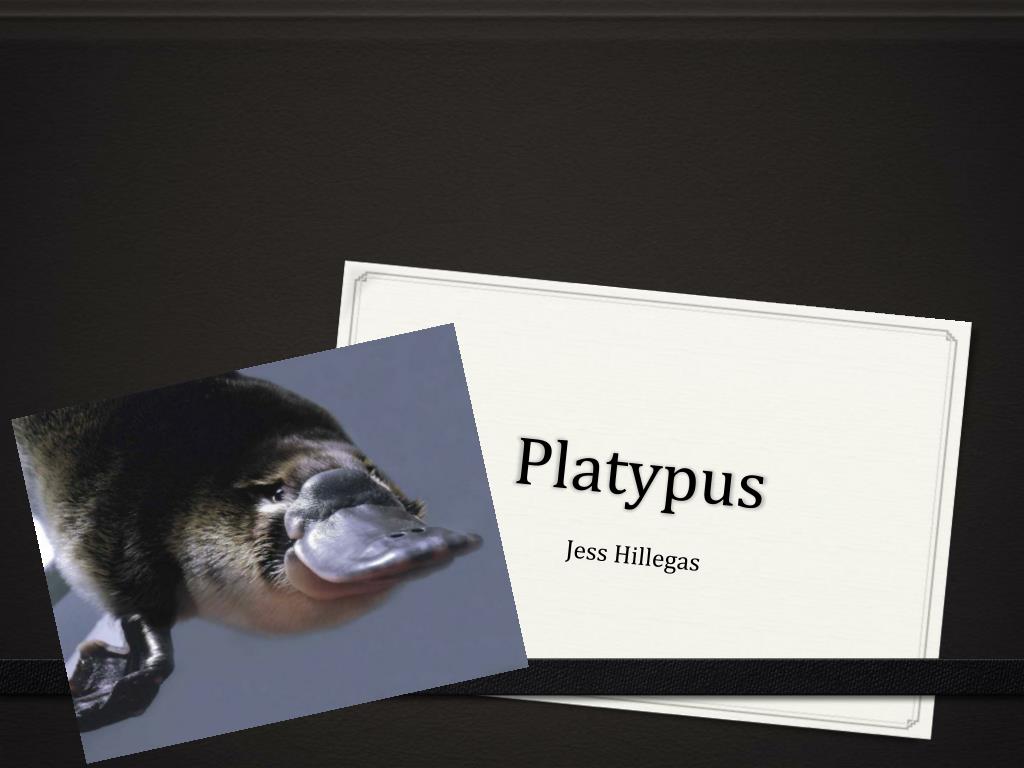 PPT - Platypus PowerPoint Presentation, free download - ID:2224823