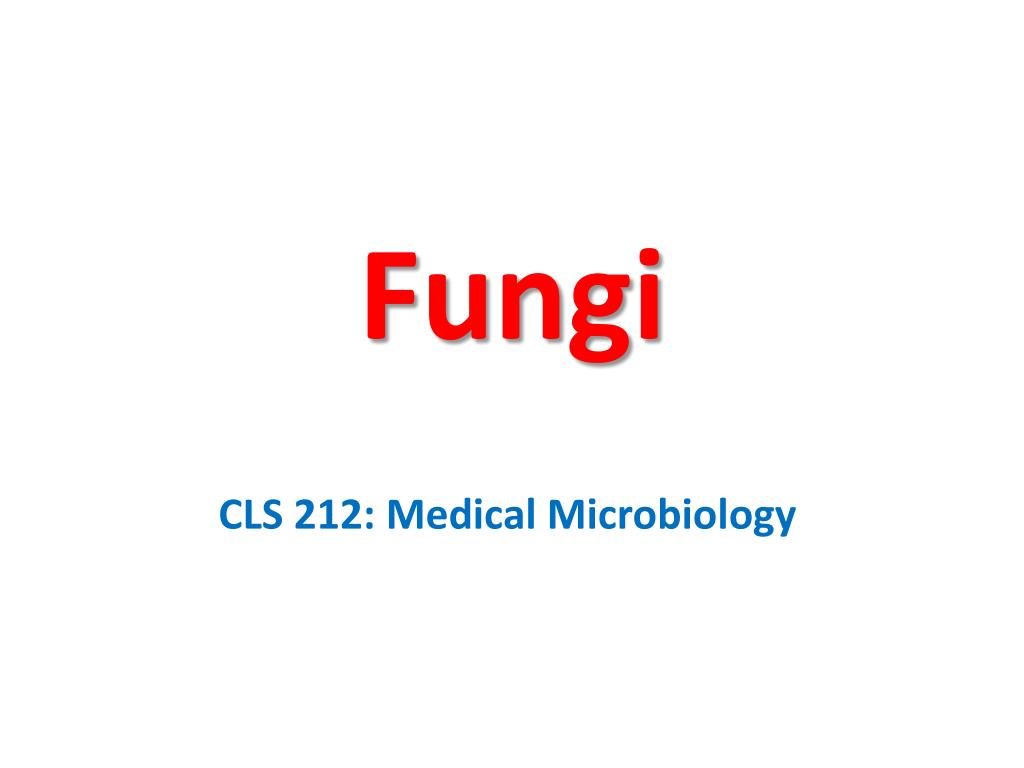 PPT - Fungi PowerPoint Presentation, free download - ID:2225054