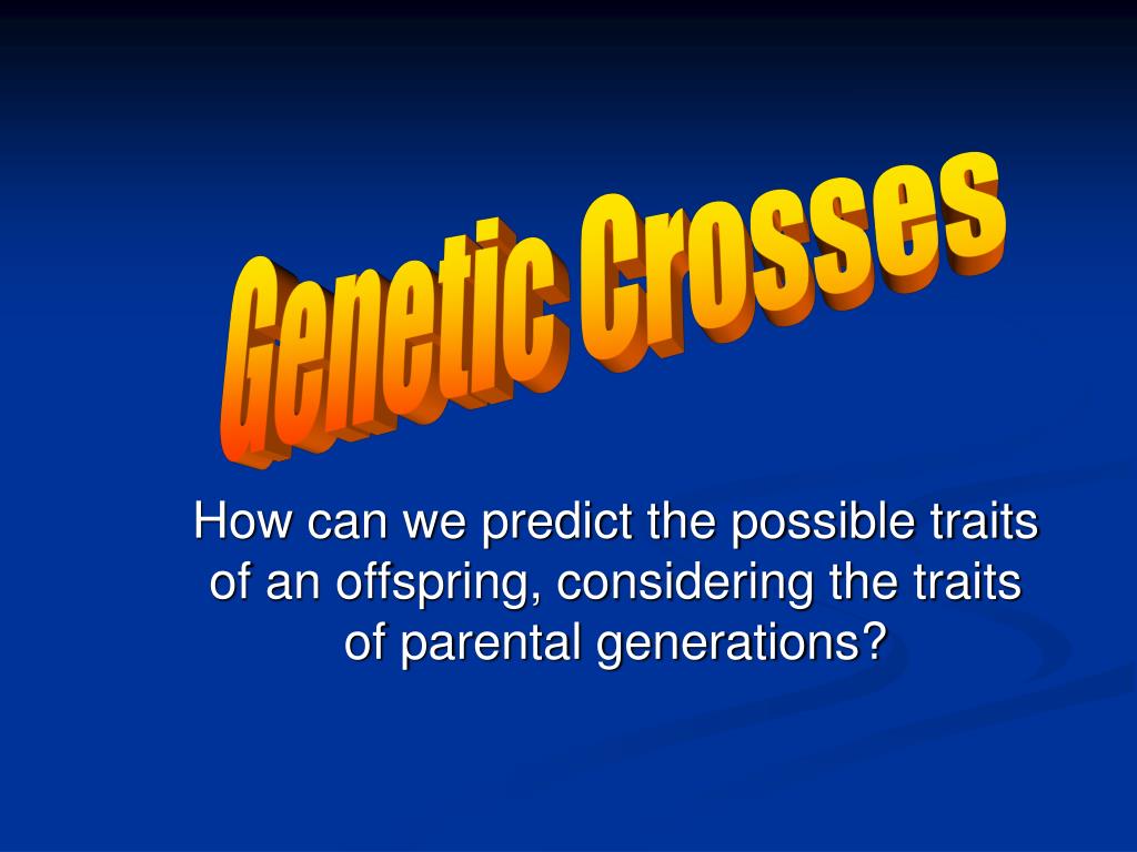 PPT - Genetic Crosses PowerPoint Presentation, free download - ID:2225630