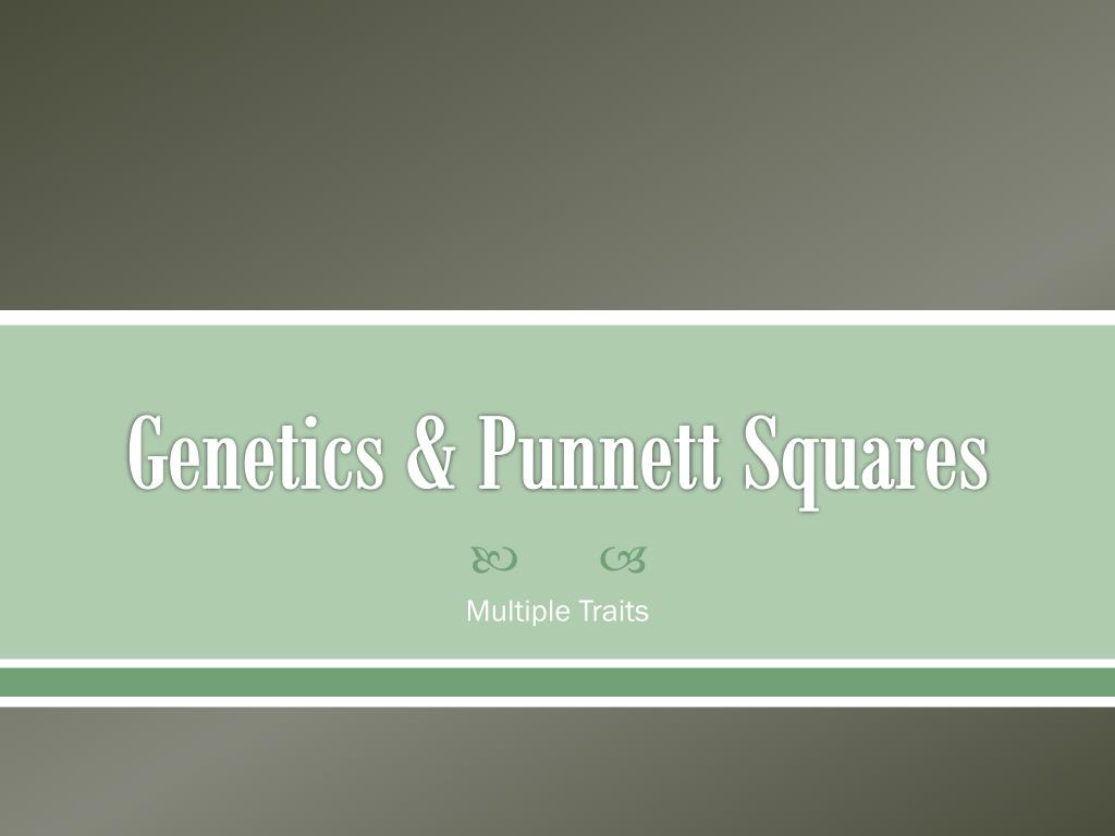 PPT - Genetics & Punnett Squares PowerPoint Presentation, free download ...