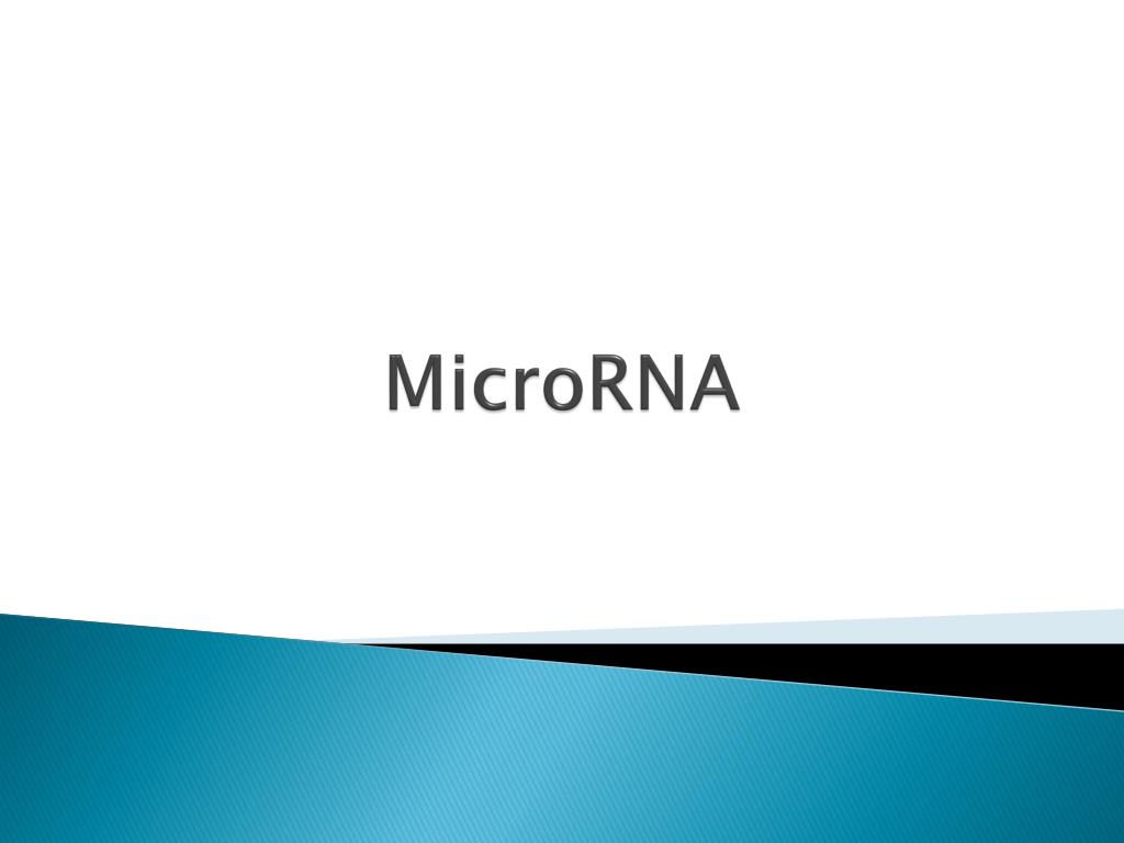PPT - MicroRNA PowerPoint Presentation, free download - ID:2226612