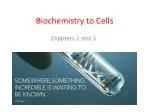 PPT - Anatomy & physiology of cells PowerPoint Presentation, free ...