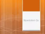 PPT - The Functional Anatomy and Evolution of Bipedalism PowerPoint ...