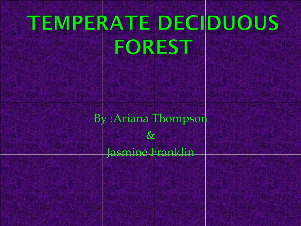 PPT - Temperate Deciduous Forest PowerPoint Presentation, free download - ID:2228695