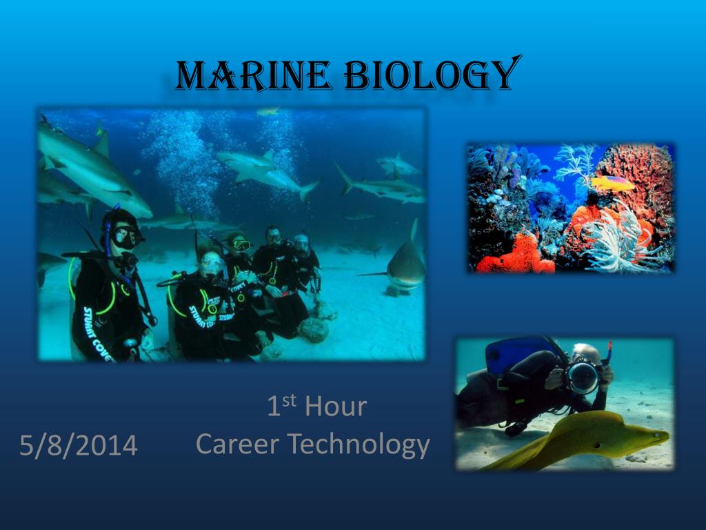PPT - Marine Biology PowerPoint Presentation, free download - ID:2230658