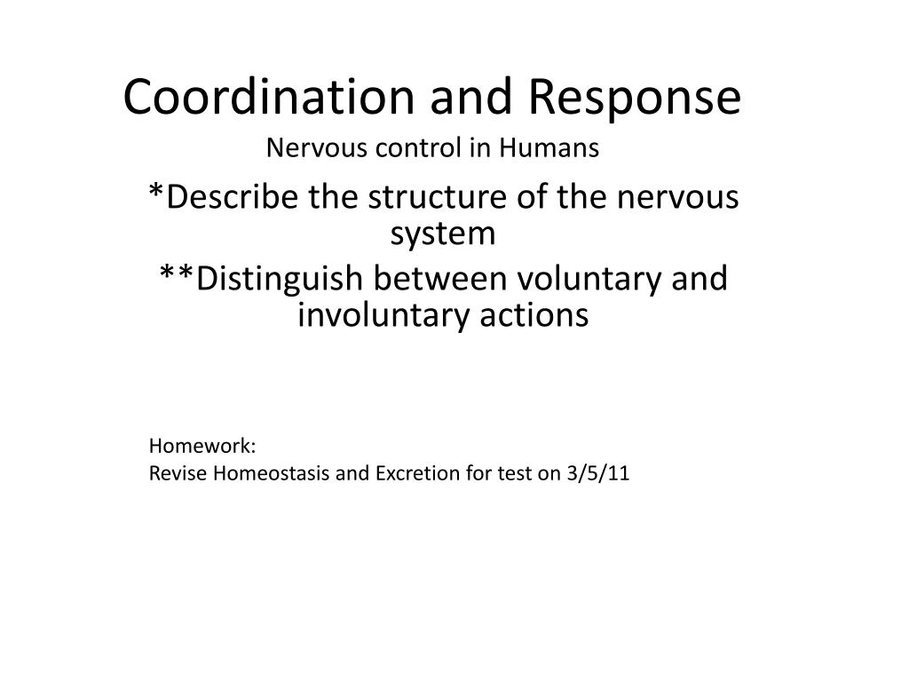 PPT - Coordination and Response Nervous control in Humans PowerPoint ...