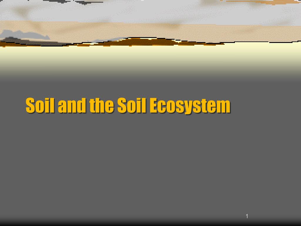 PPT - Soil and the Soil Ecosystem PowerPoint Presentation, free ...
