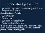 PPT - Epithelium PowerPoint Presentation, free download - ID:2439694