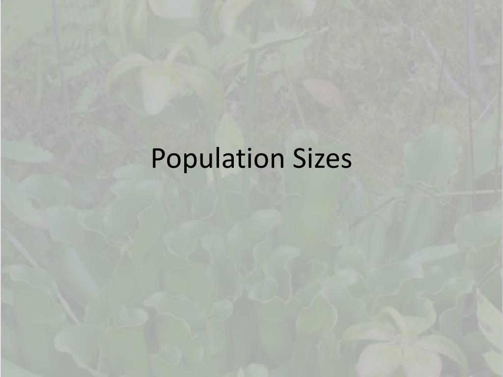 PPT - Population Sizes PowerPoint Presentation, free download - ID:2235432